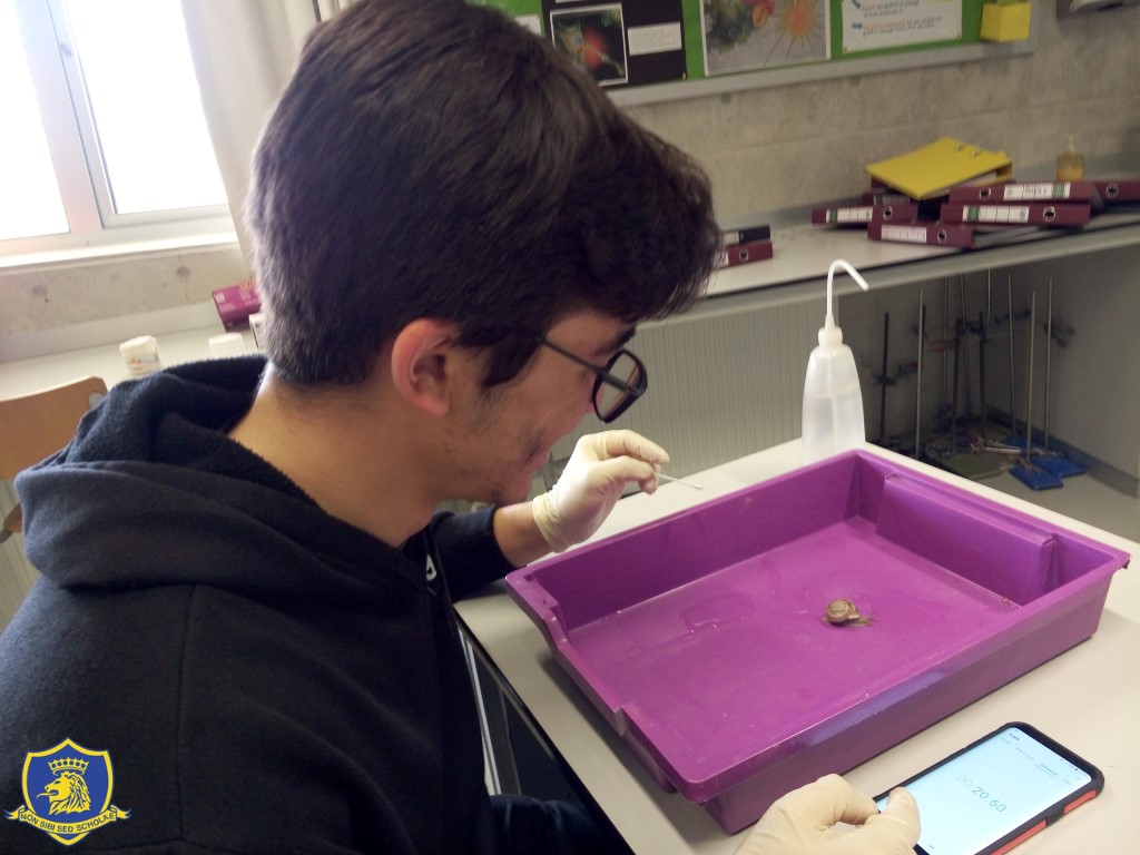 The English School: A-Level Biology students hard at work