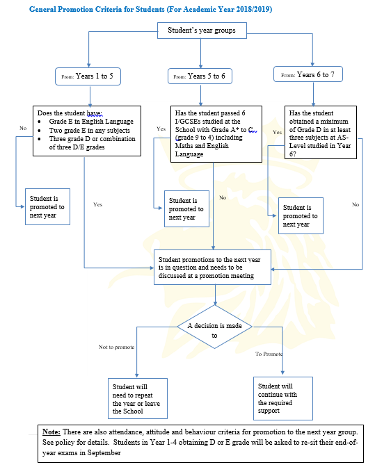 Health Promotion Flow Chart
